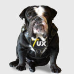 Buy, Sell, Loan or Invest at Tulsa Gold & Gems | 91st and Yale